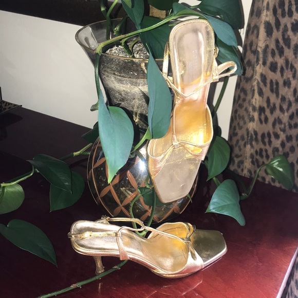 Shoes | Colin Stuart Shoe | Poshmark